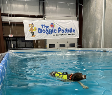 The Doggie Paddle | Dog Swimming | Oshkosh, WI