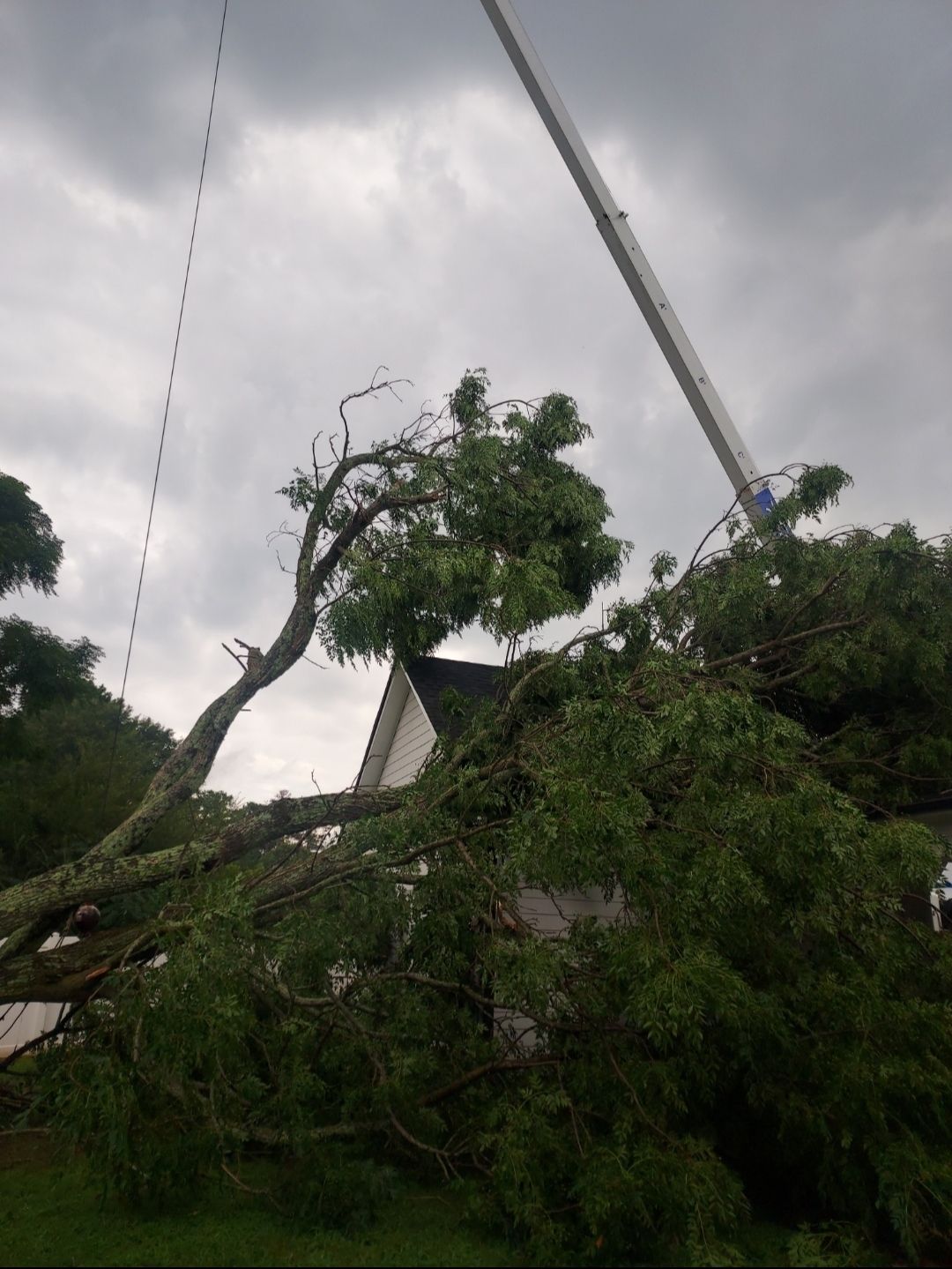 Emergency Storm Damage | Tree Removal | Senoia, GA