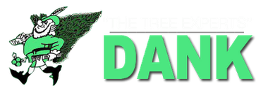 Dank The Tree Experts | Tree Care 24/7 Services | Massapequa, NY