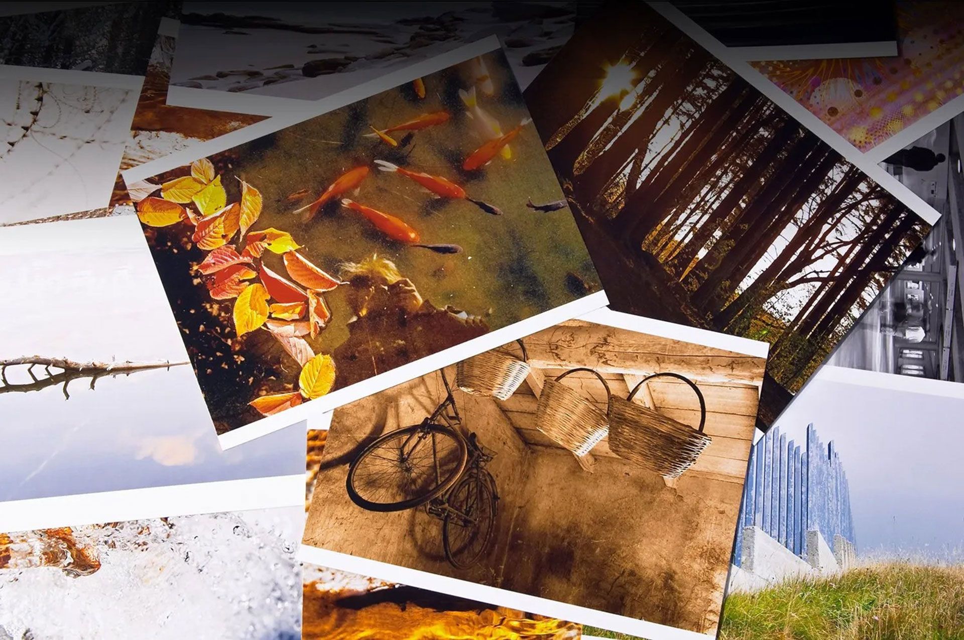 Custom Framing Service | Fayetteville, NY