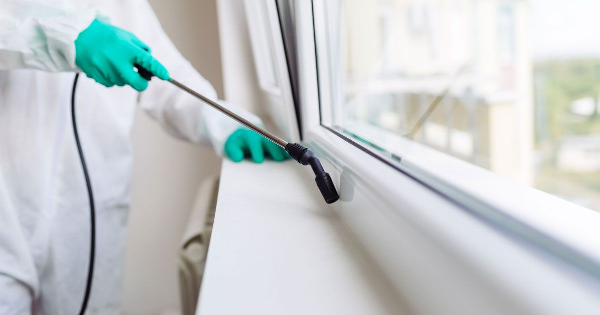 Go2-Pros Pest Control | Dayton, OH