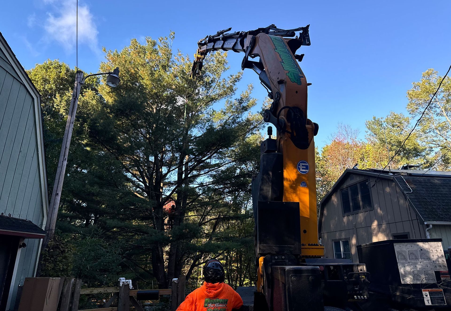 Tree Services East Greenbush, NY | Albany, NY