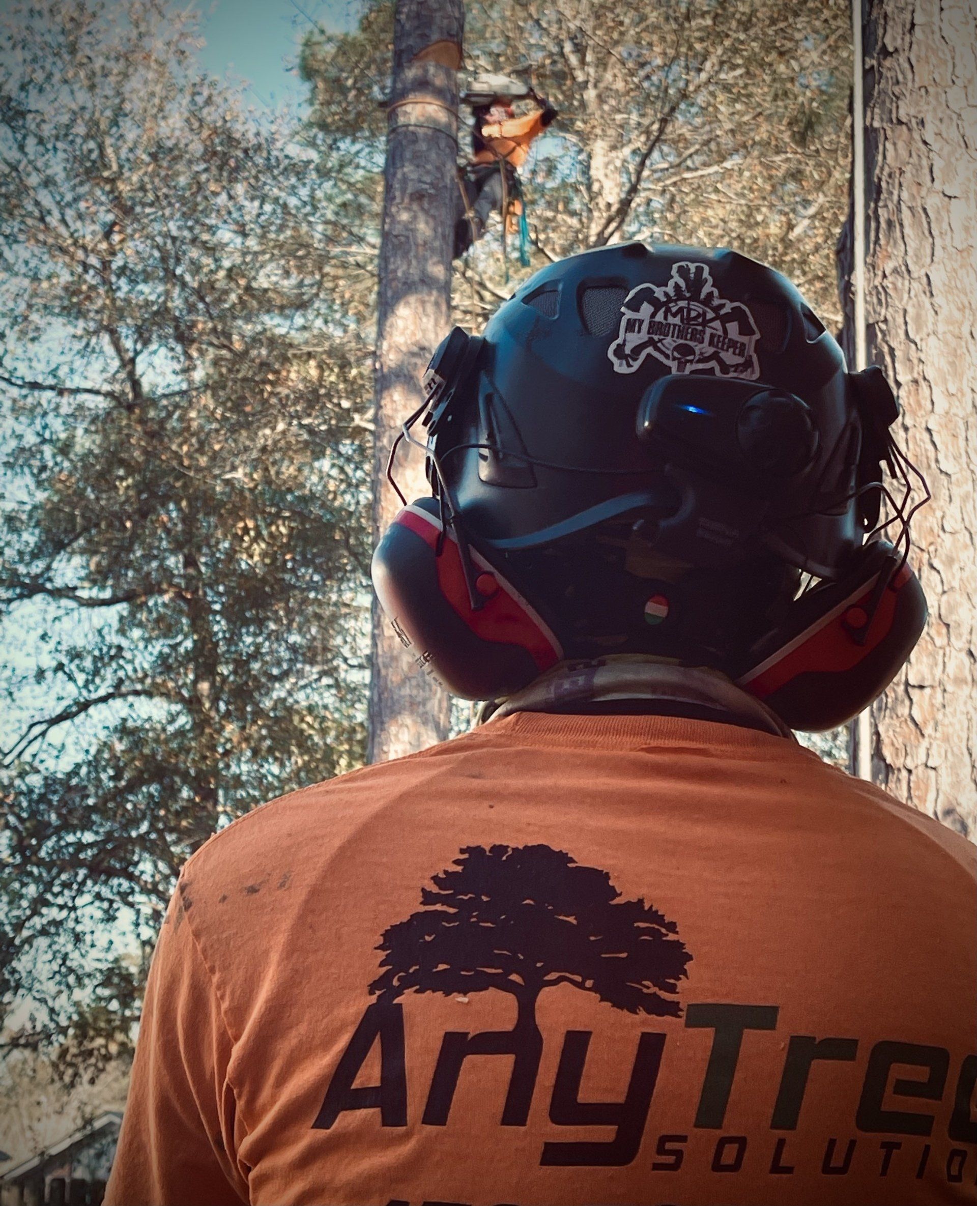 AnyTree Solution | Tree Service | Warner Robins, GA