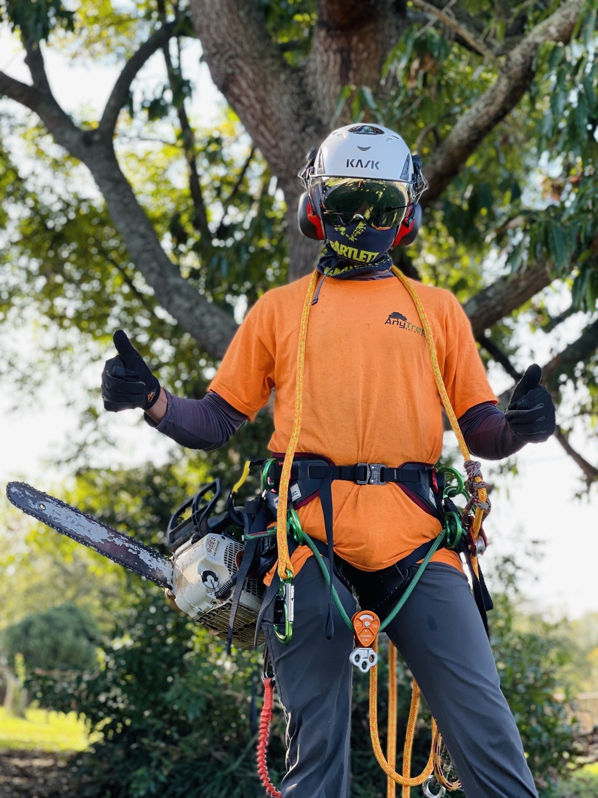 AnyTree Solution | Tree Service | Warner Robins, GA