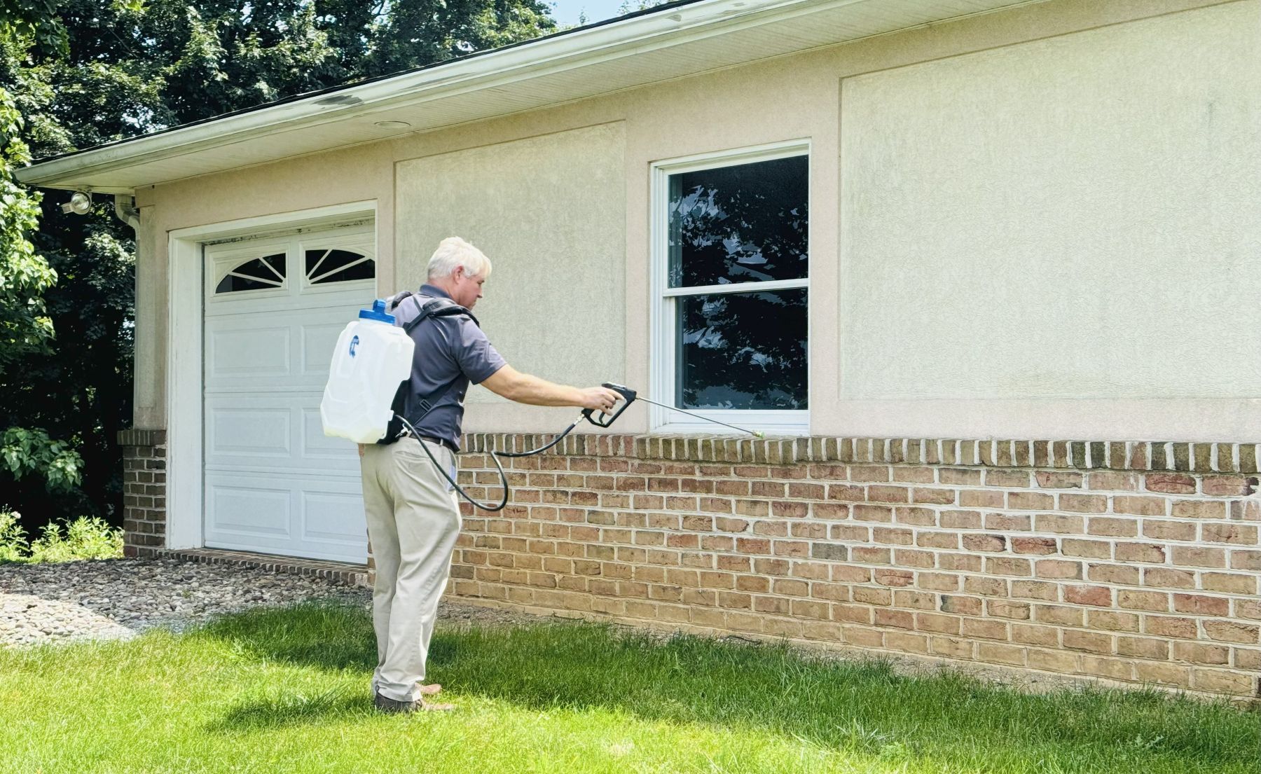 Commercial Rodent Control | York, PA
