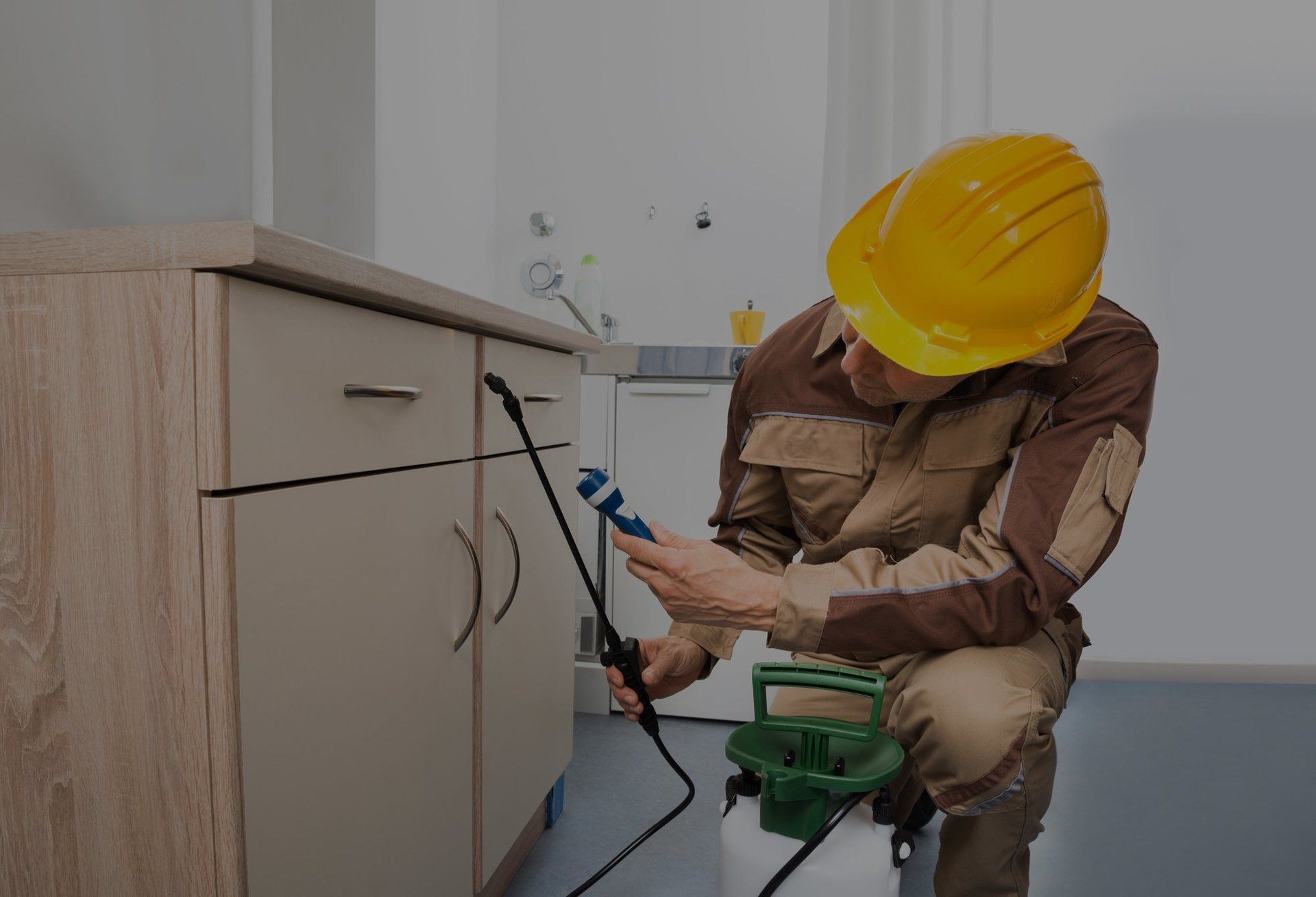 Gold Bond Pest Control LLC | Termite Termination Corinth MS