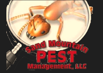 Sand Mountain Pest Management | Pest Control | Albertville