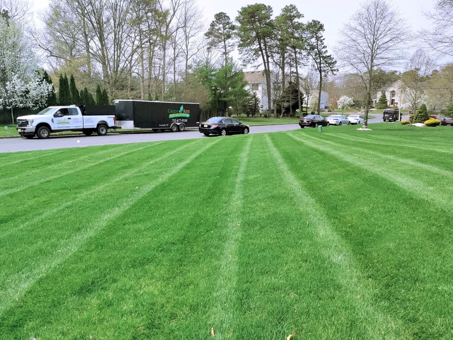 About Green Rite Tree Service | Freehold, NJ Area