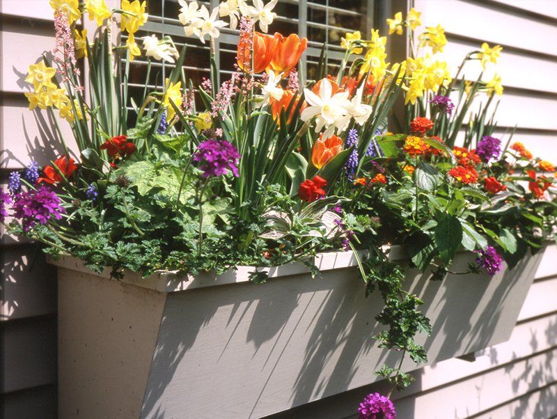 Landscapes By Dallas Foster Inc. Photo Gallery | Vincennes