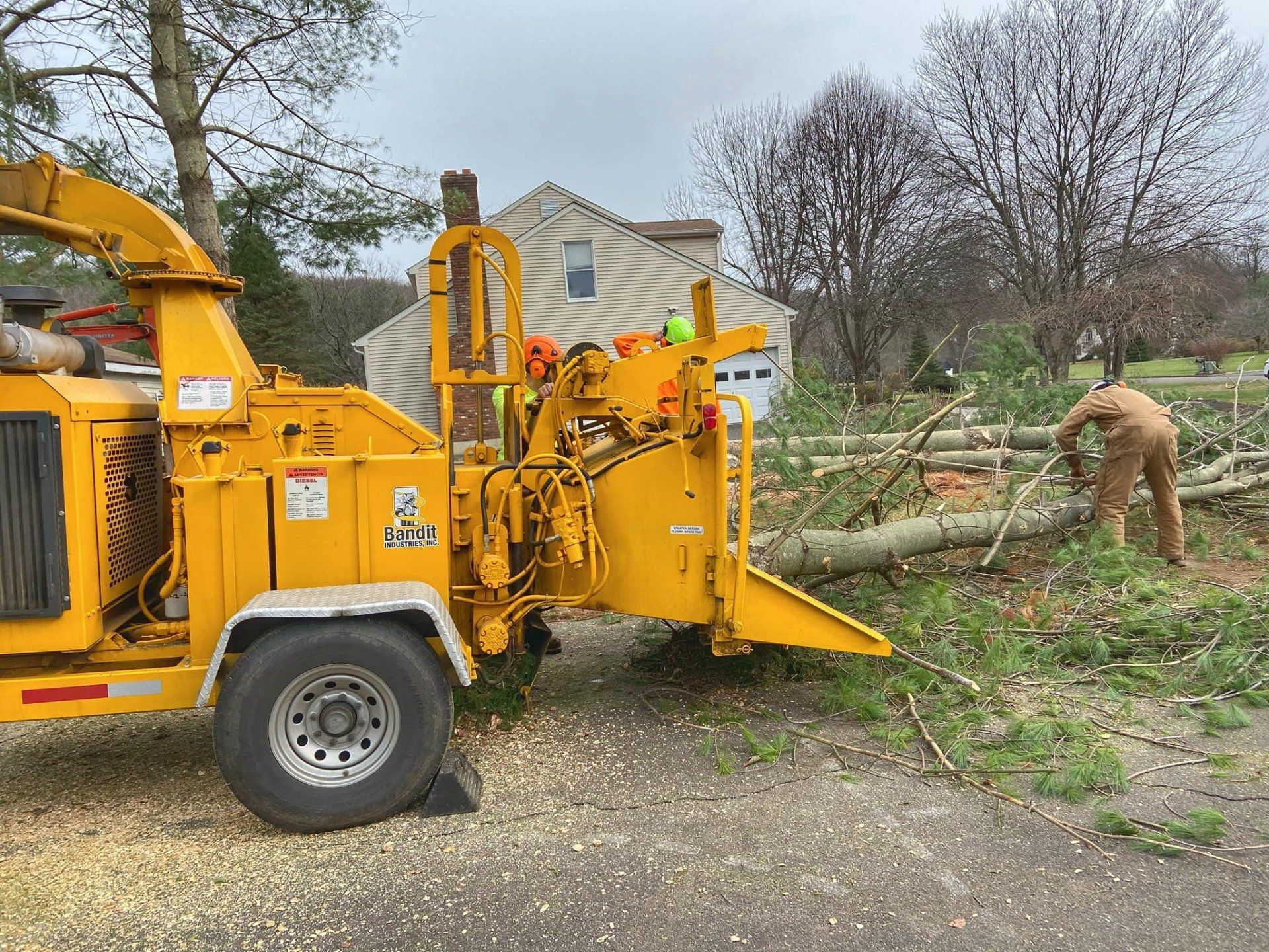 Chad's Tree Service | Tree Removal | New Milford, CT