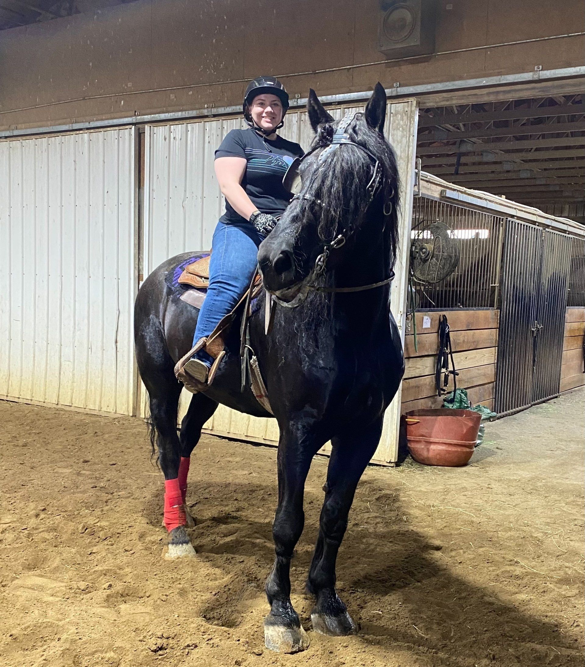 Canon Hill Veterinary Clinic | Technical Staff | Canonsburg, PA Vets