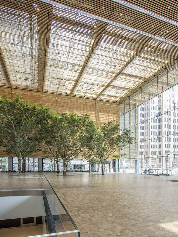 High-Quality Translucent Panel & Skylight Systems | Hopkins, MN