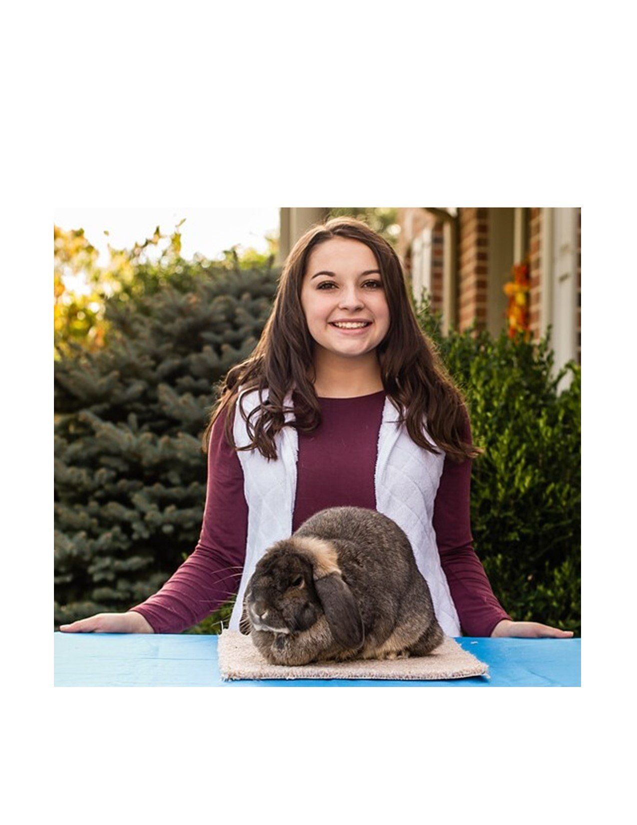 American Mini Lop Rabbit Club