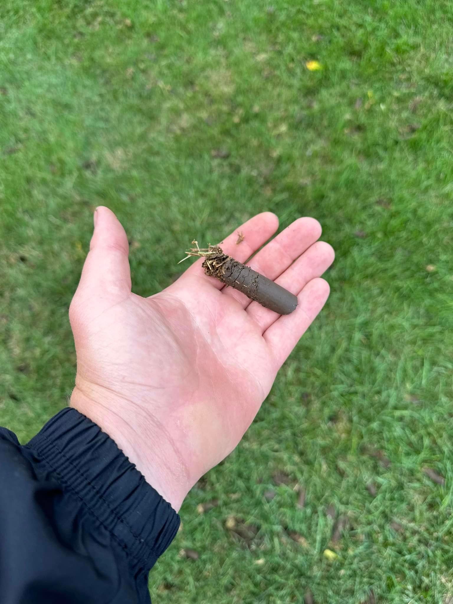 Gallery | Dane County Lawn Care