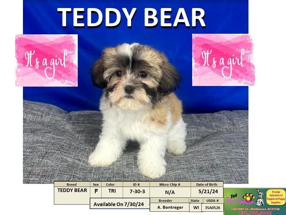 Puppy Store | The Pet Shoppe | Middletown, NJ