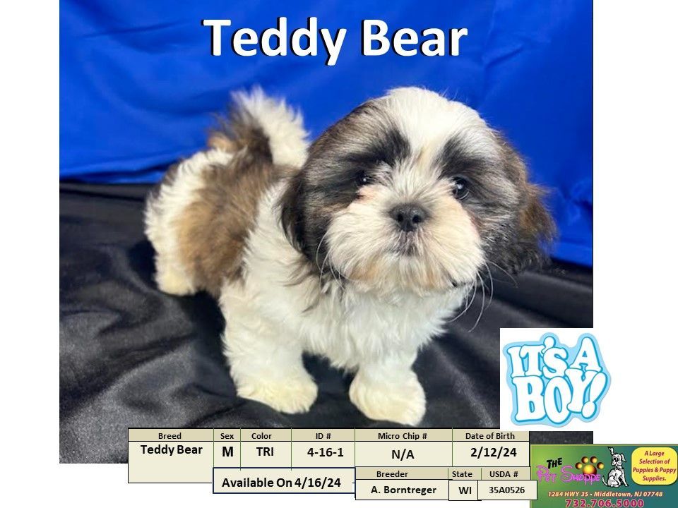 Puppy Store | The Pet Shoppe | Middletown, NJ