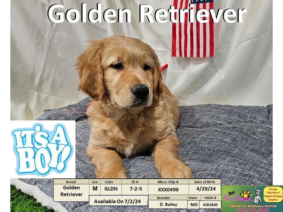 Puppy Store | The Pet Shoppe | Middletown, NJ