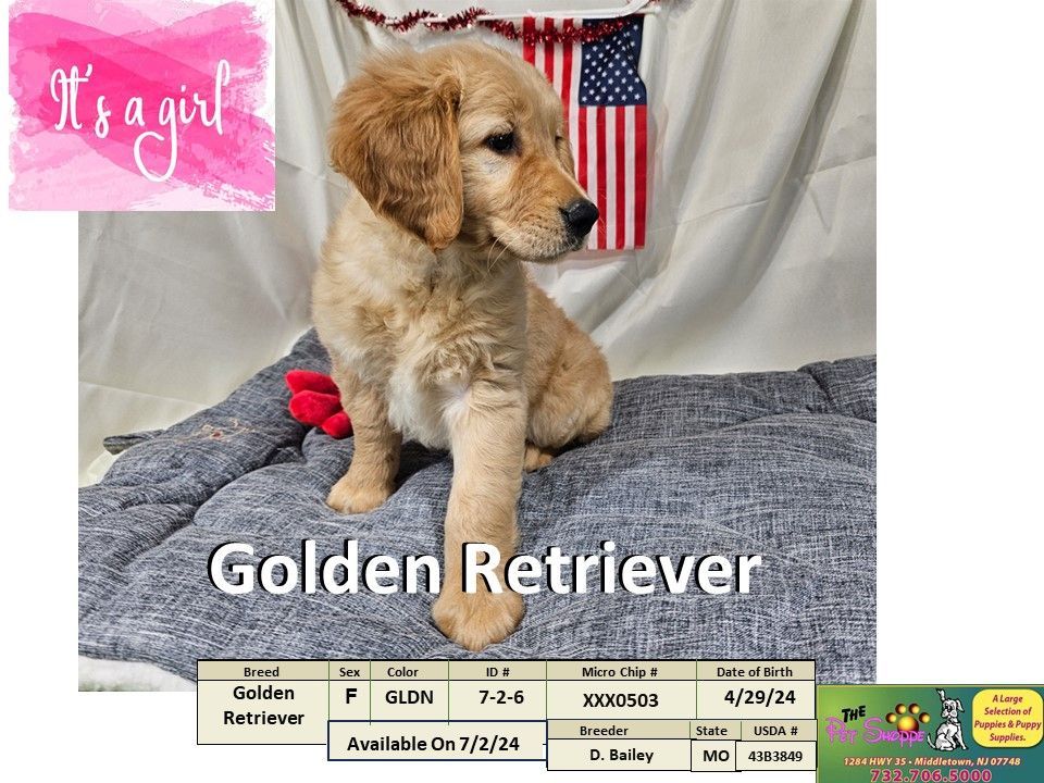 Puppy Store | The Pet Shoppe | Middletown, NJ