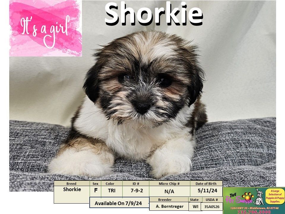 Puppy Store | The Pet Shoppe | Middletown, NJ