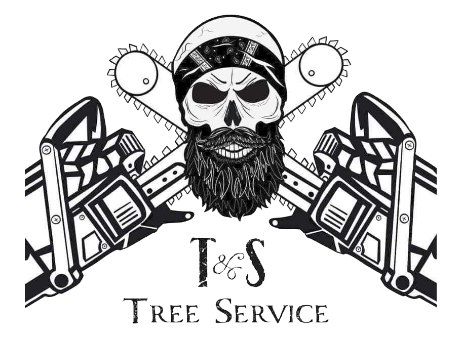 Gallery | T&S Tree Service