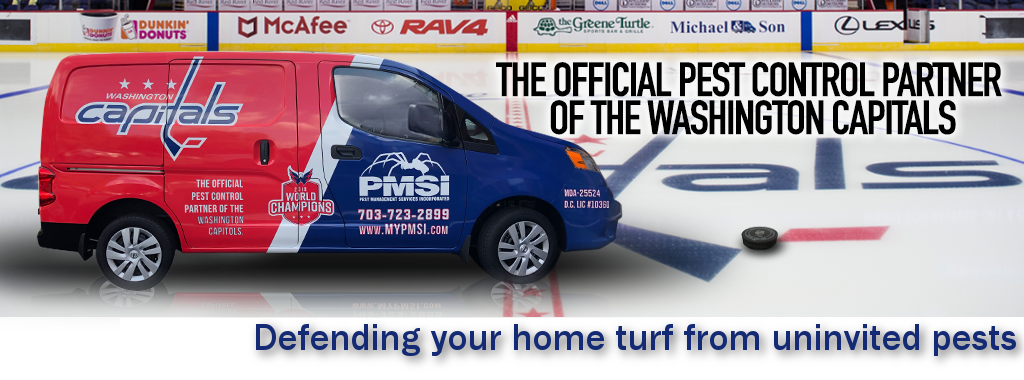 PMSI Pest Management Services | Rodents | Ashburn VA