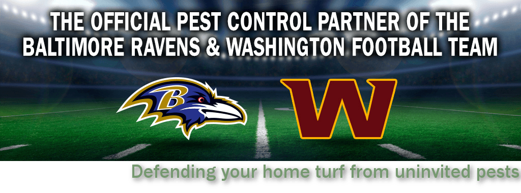 PMSI Pest Management Services | Rodents | Ashburn VA