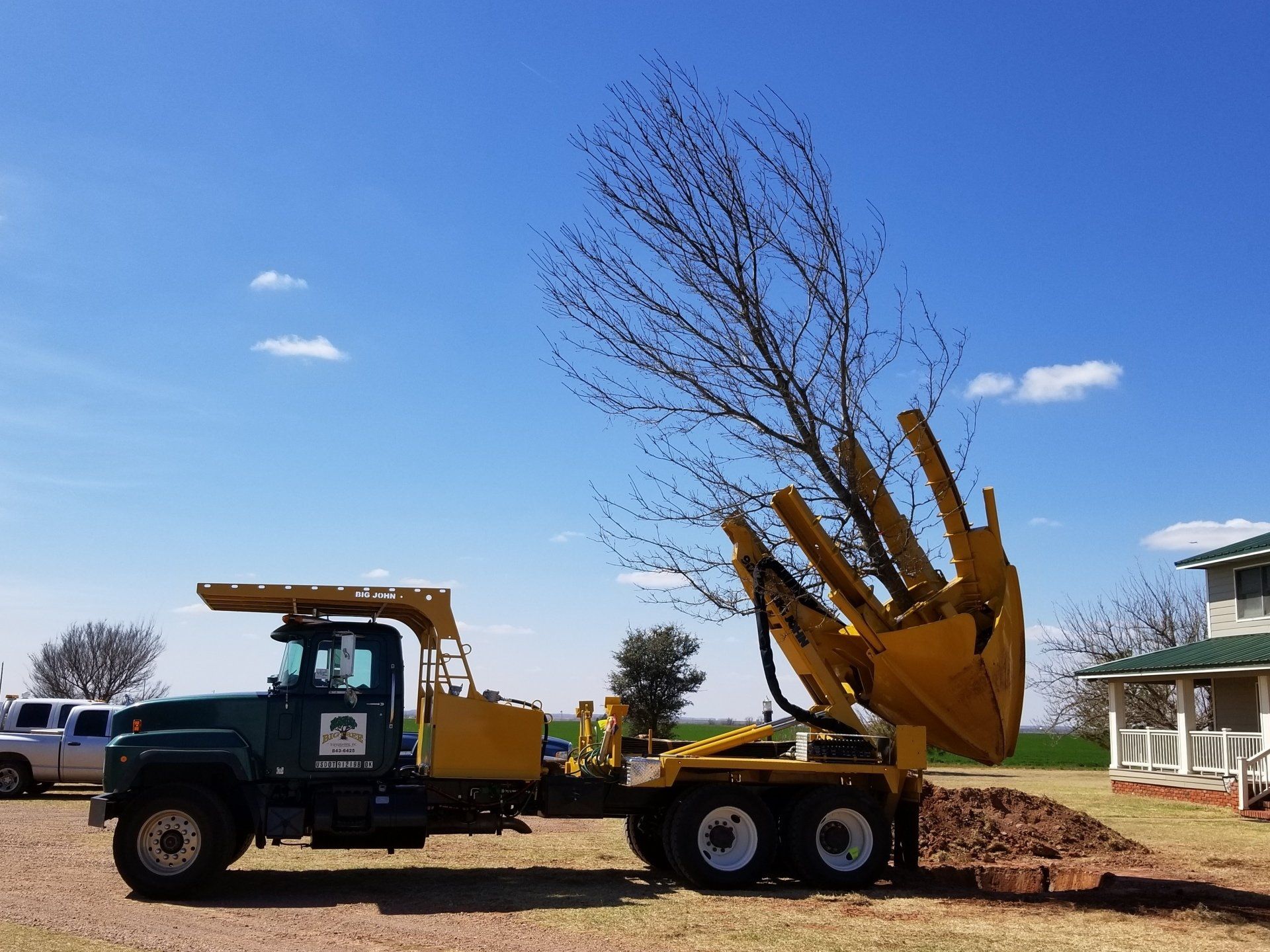 Big Tree Transplanting | Transplanting | Oklahoma City, OK