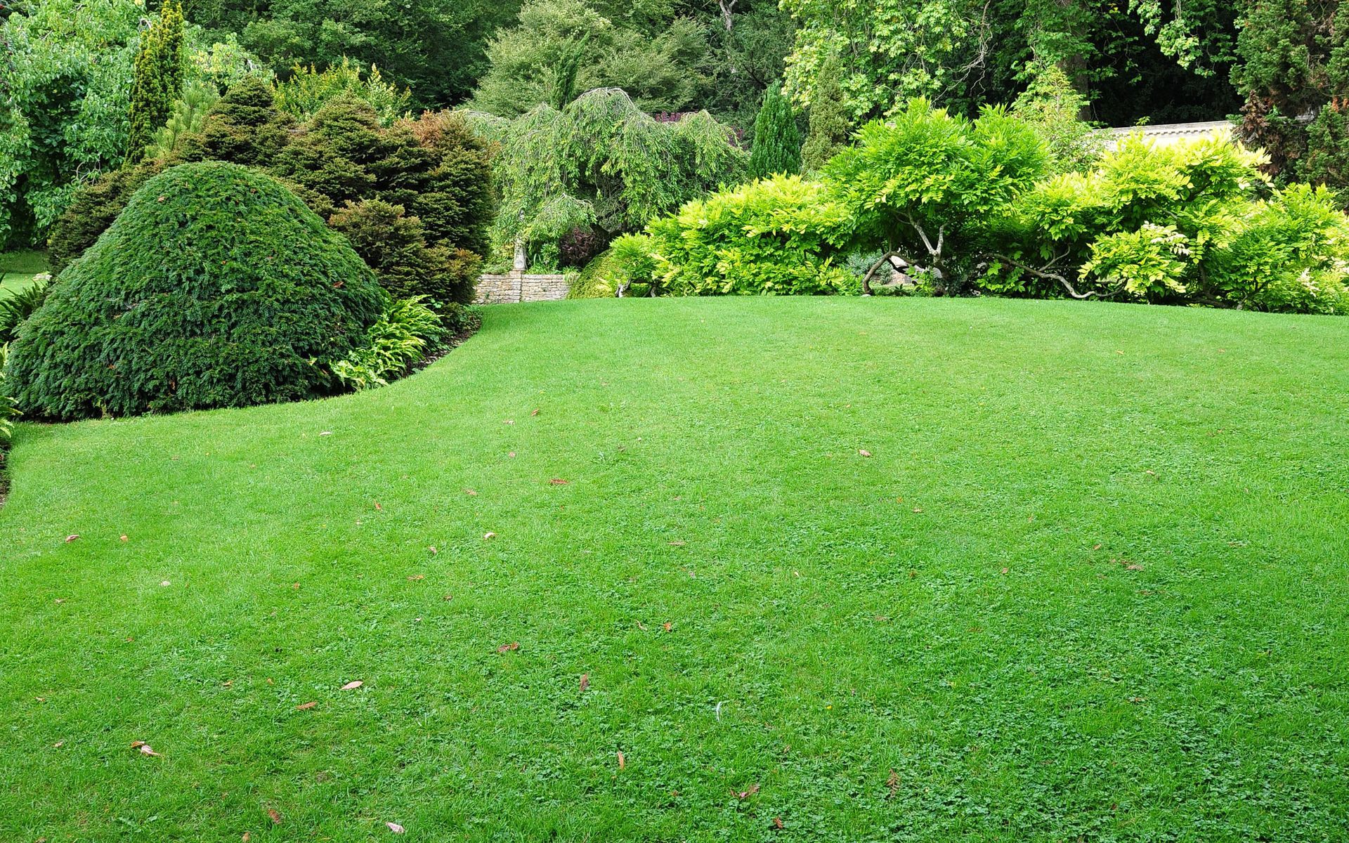 Tree & Lawn Care | The Natural Way | Englewood, CO