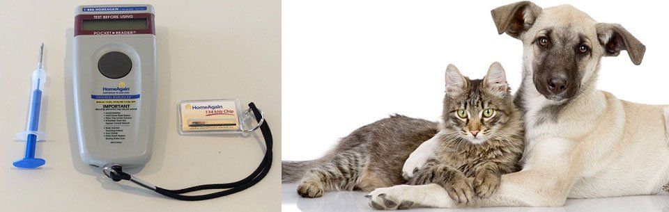 Pet Microchipping | Pet Microchip Implants | Clifton, NJ