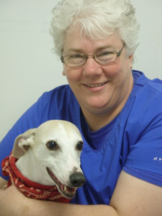 Meet the Staff | Apple Valley Animal Hospital