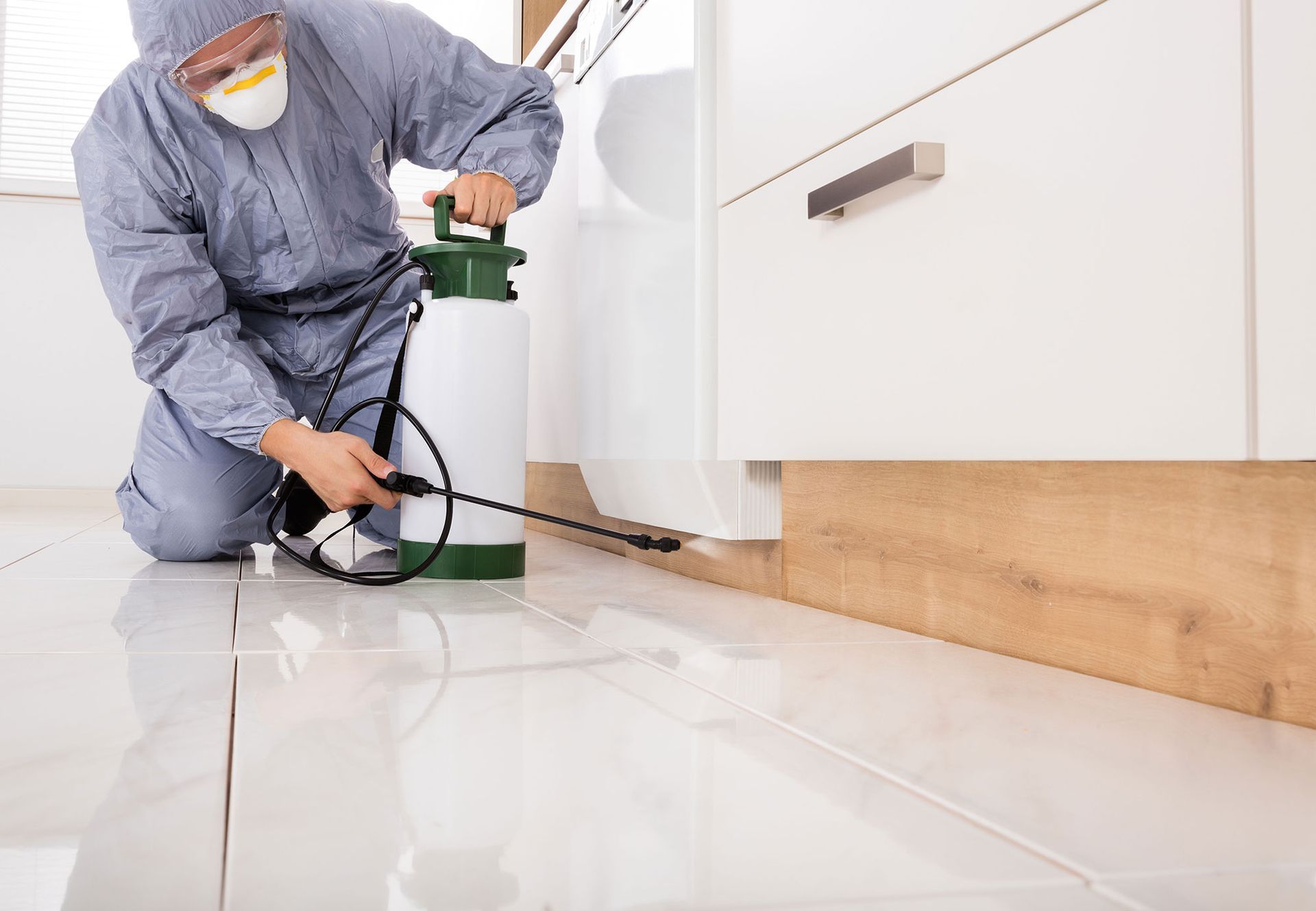 Pest Control Anderson | Piedmont | Extreme Pest Solutions