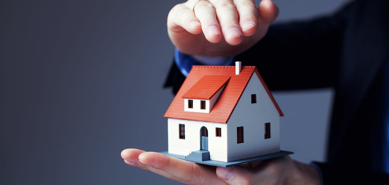 Roca Insurance | Independent Insurance Agency | Tampa, FL