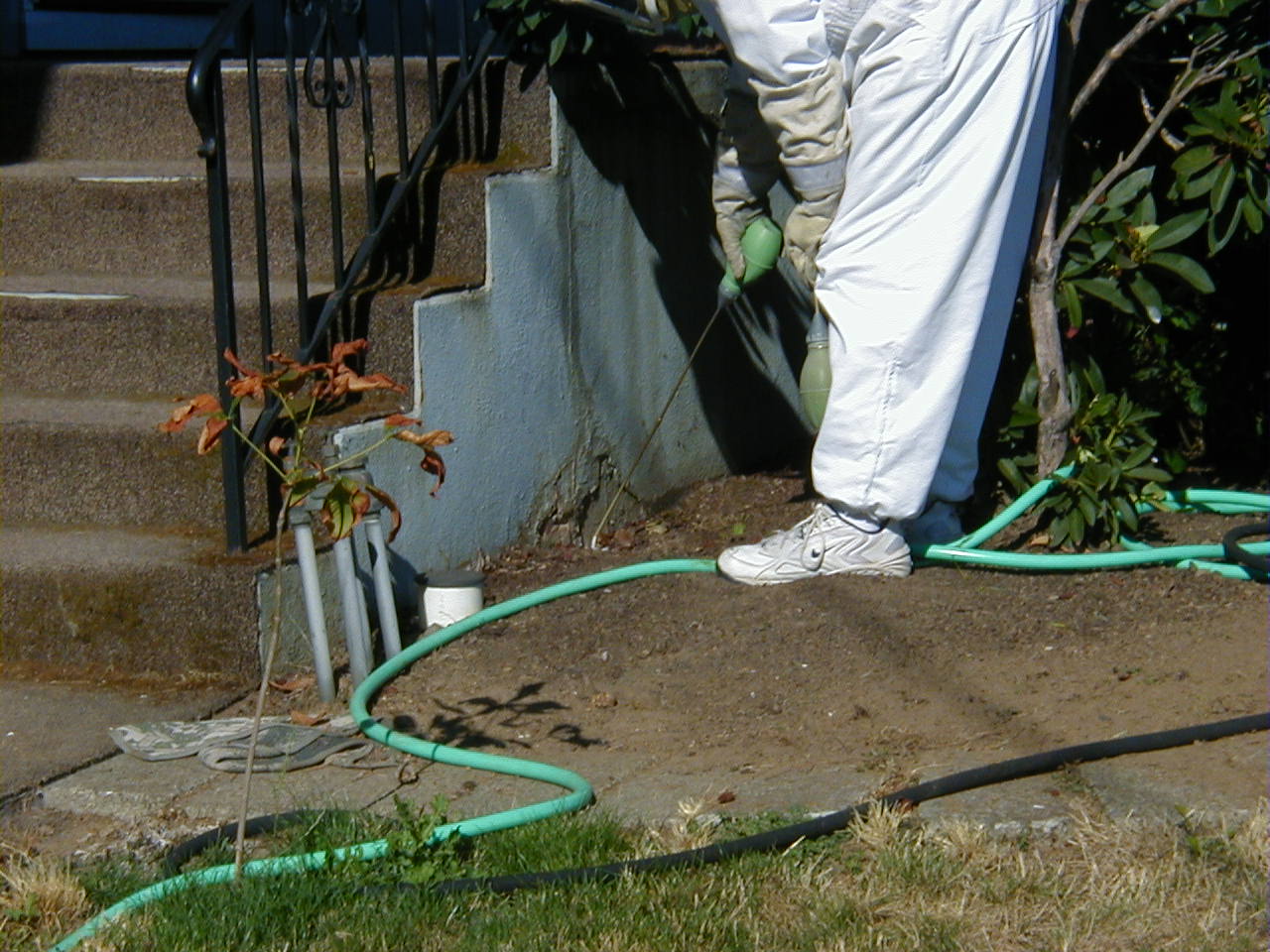 Yellow Jacket Exterminators Beaverton, OR | Portland, OR