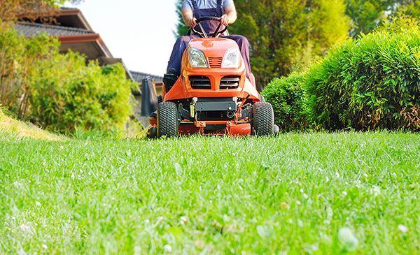 Straightline Landscaping & Lawn Maintenance, LTD Homer Glen
