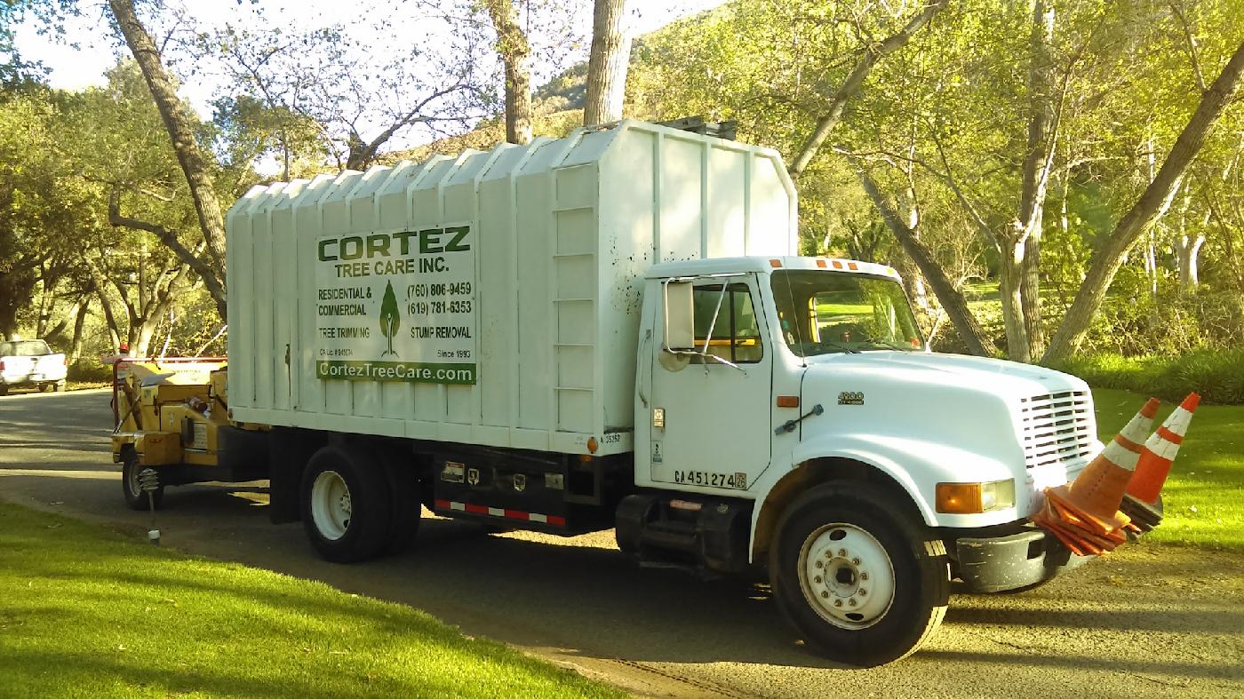 Tree Removal | Tree Service | San Diego, CA