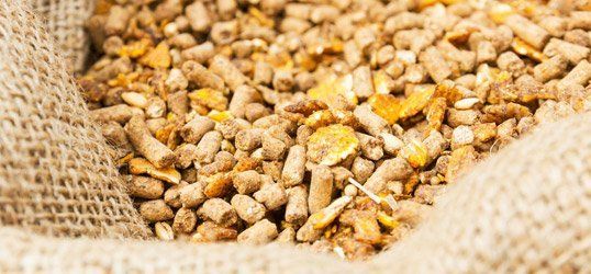 Livestock Feed | Custom Feed Mix | Sarcoxie, MO