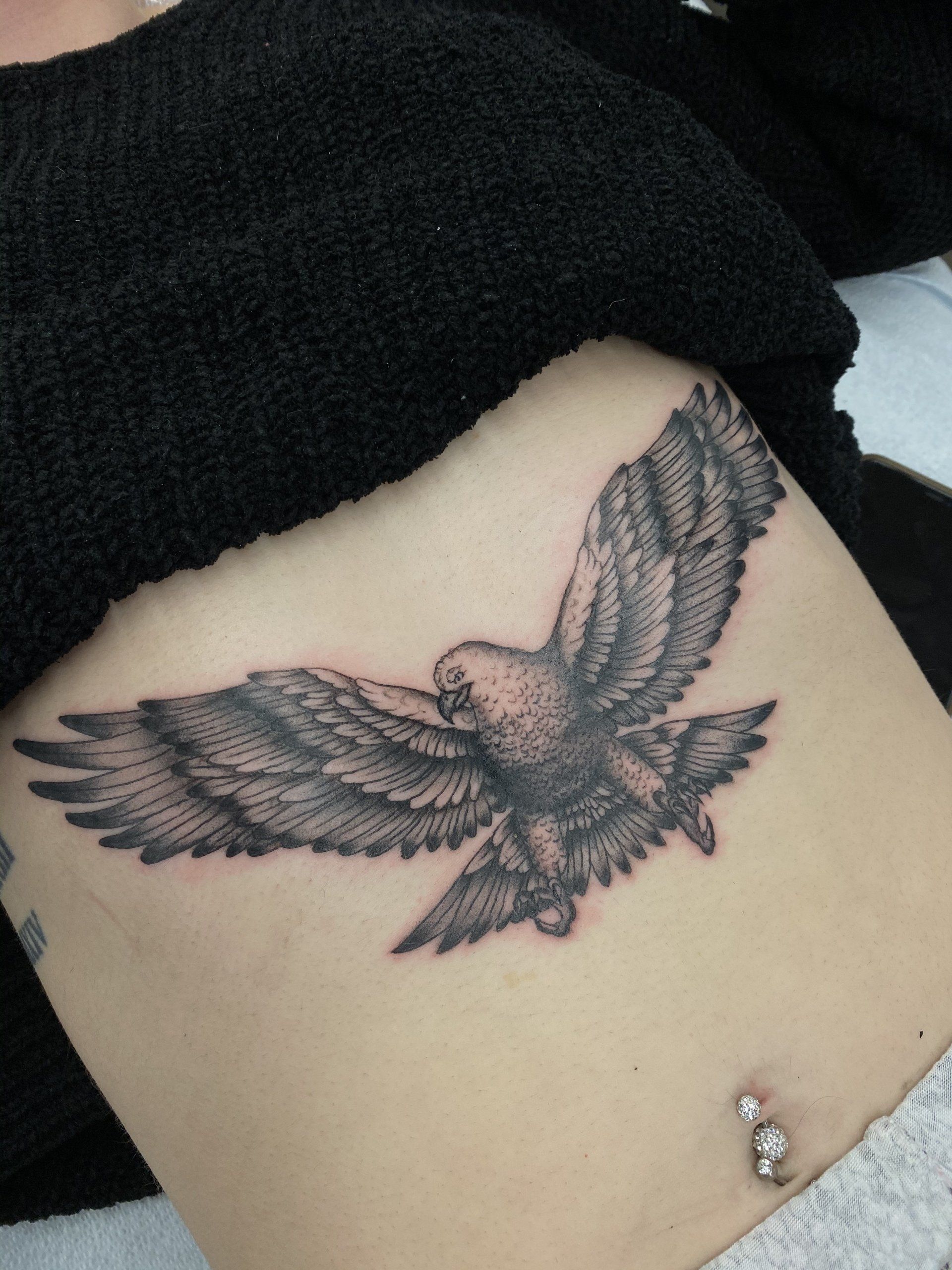 Meet the Artists at Fat Cat Tattoo | Sacramento , CA