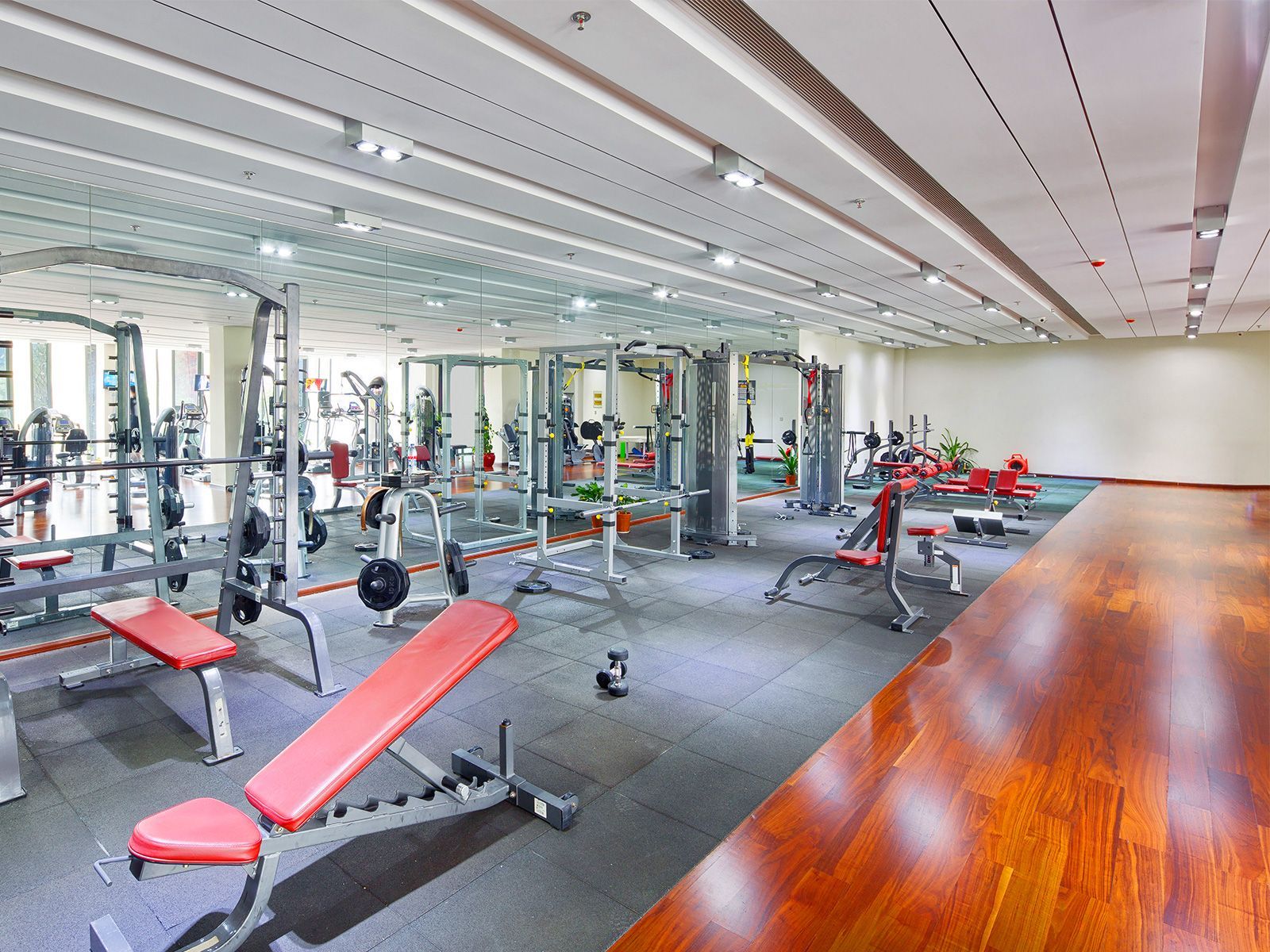 Athletic Training Room | Collins Facility Design