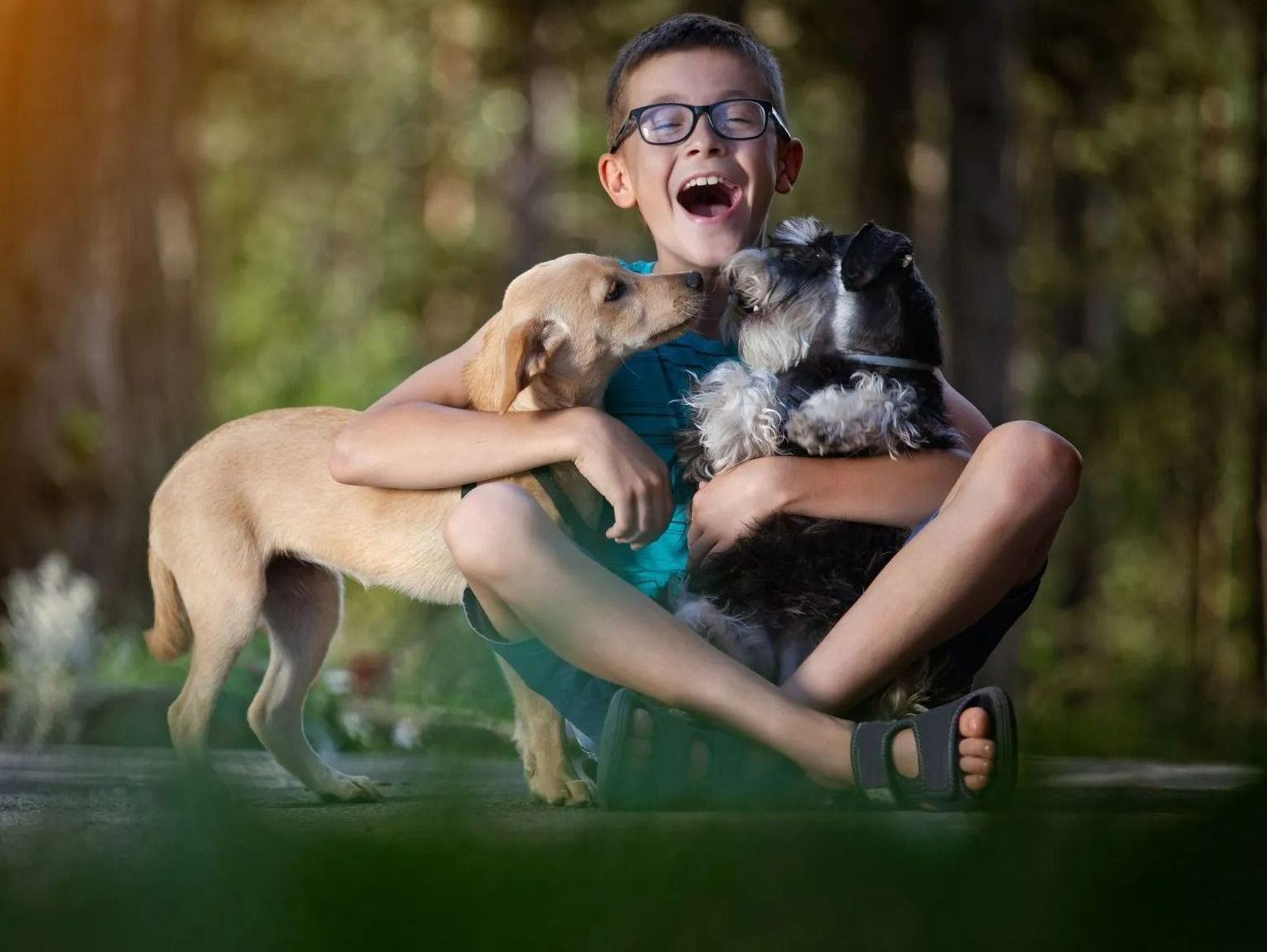 Offers | Benson Animal Hospital