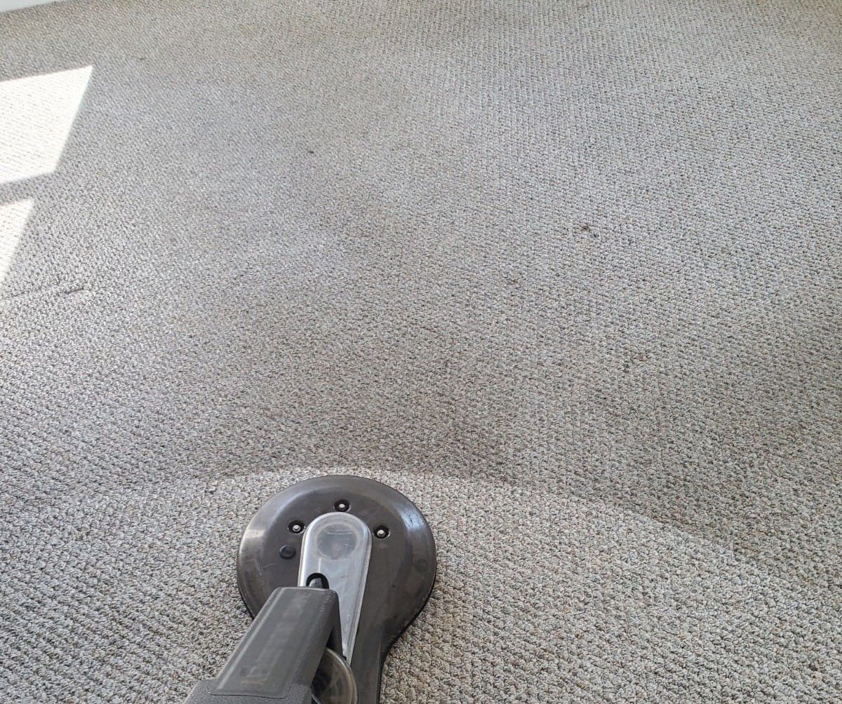 Carpet and Rug Cleaning Statewide Cleaning Greater Boston MA