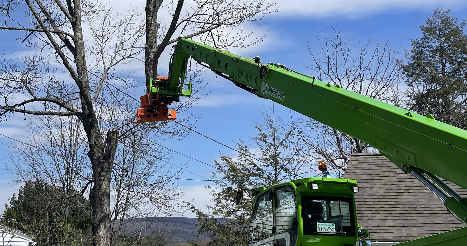Tree Removal Lenox, MA | Williamstown, MA