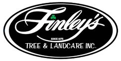 Finley's Tree & Landcare Inc | Landscapers | Torrance, CA