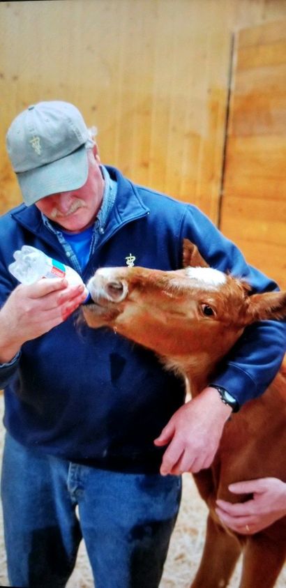 Evergreen Equine Clinic Photo Gallery | Olympia, WA