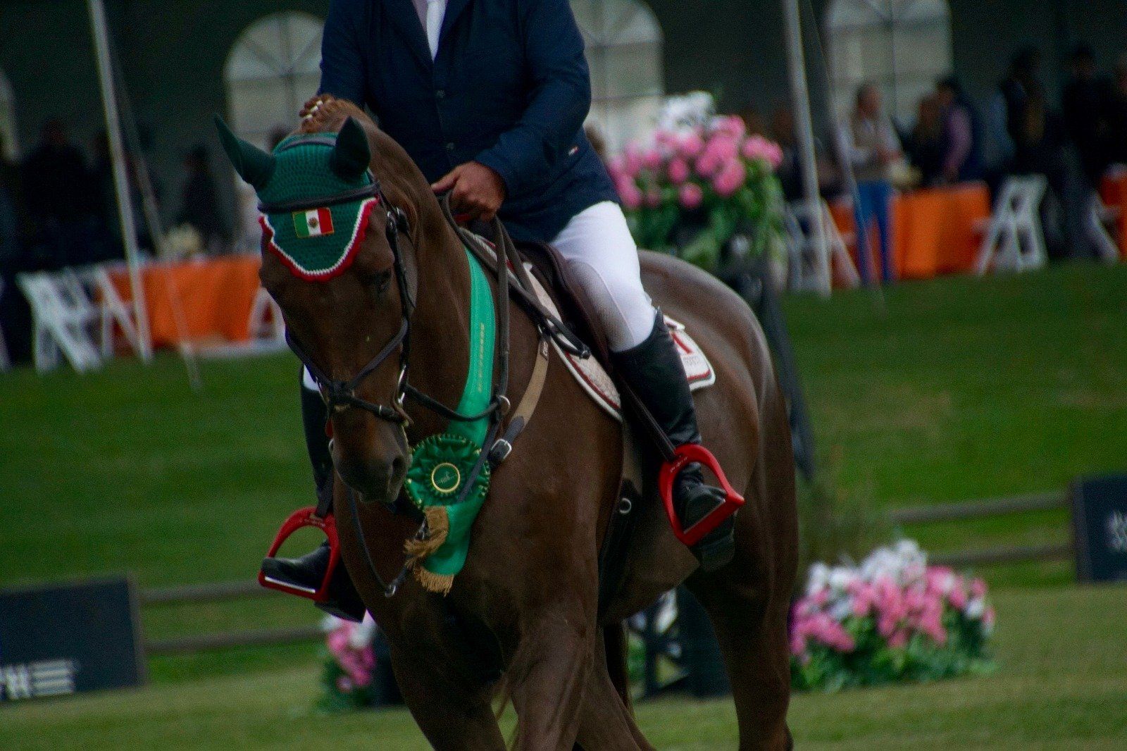 Everardo Hegewisch Stables Gallery | Temecula, CA