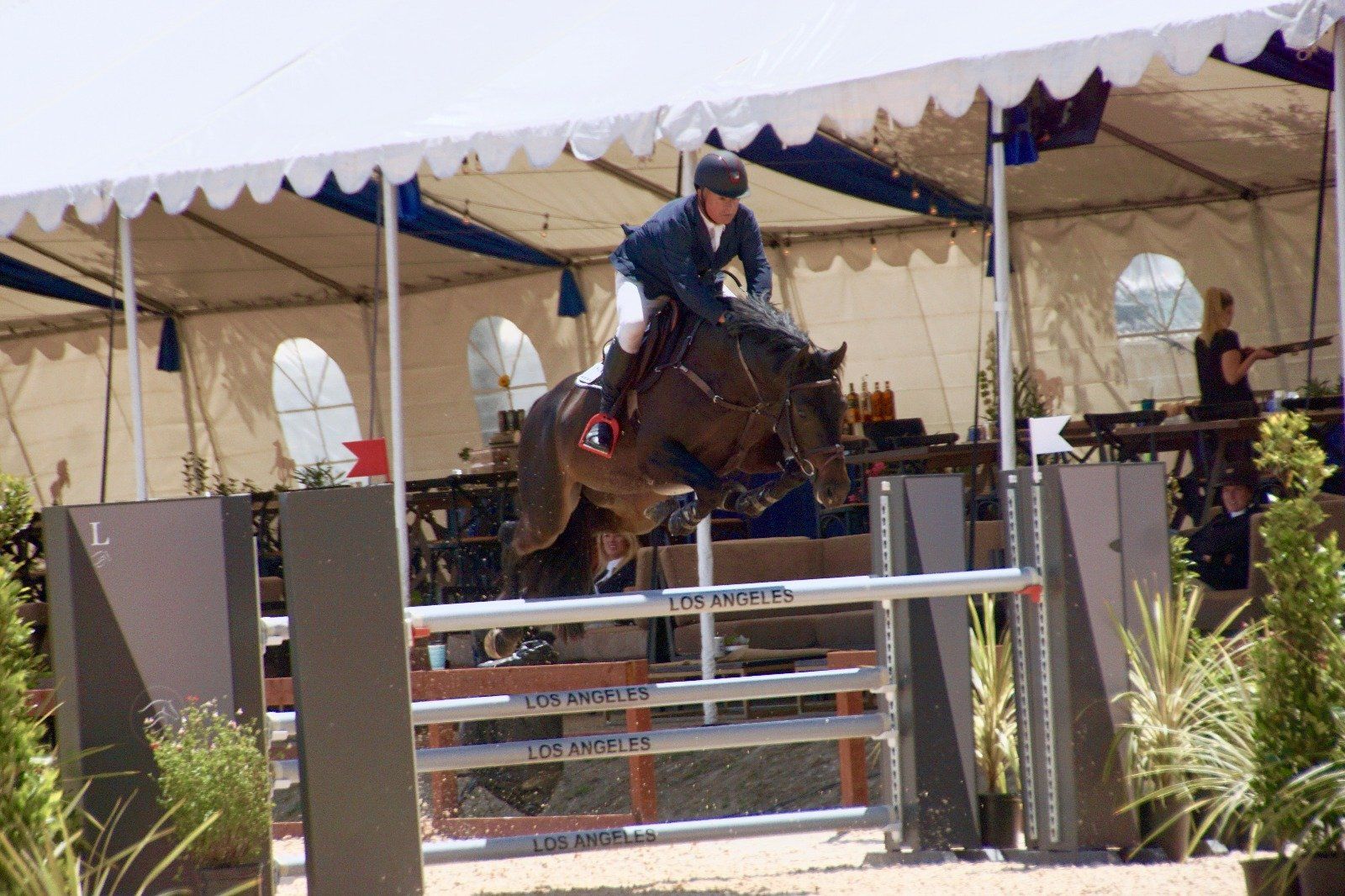 Everardo Hegewisch Stables Gallery | Temecula, CA