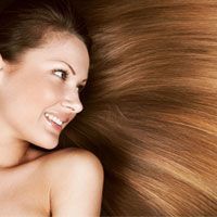 Meet Our Stylists | Chic Hair Designs, Inc