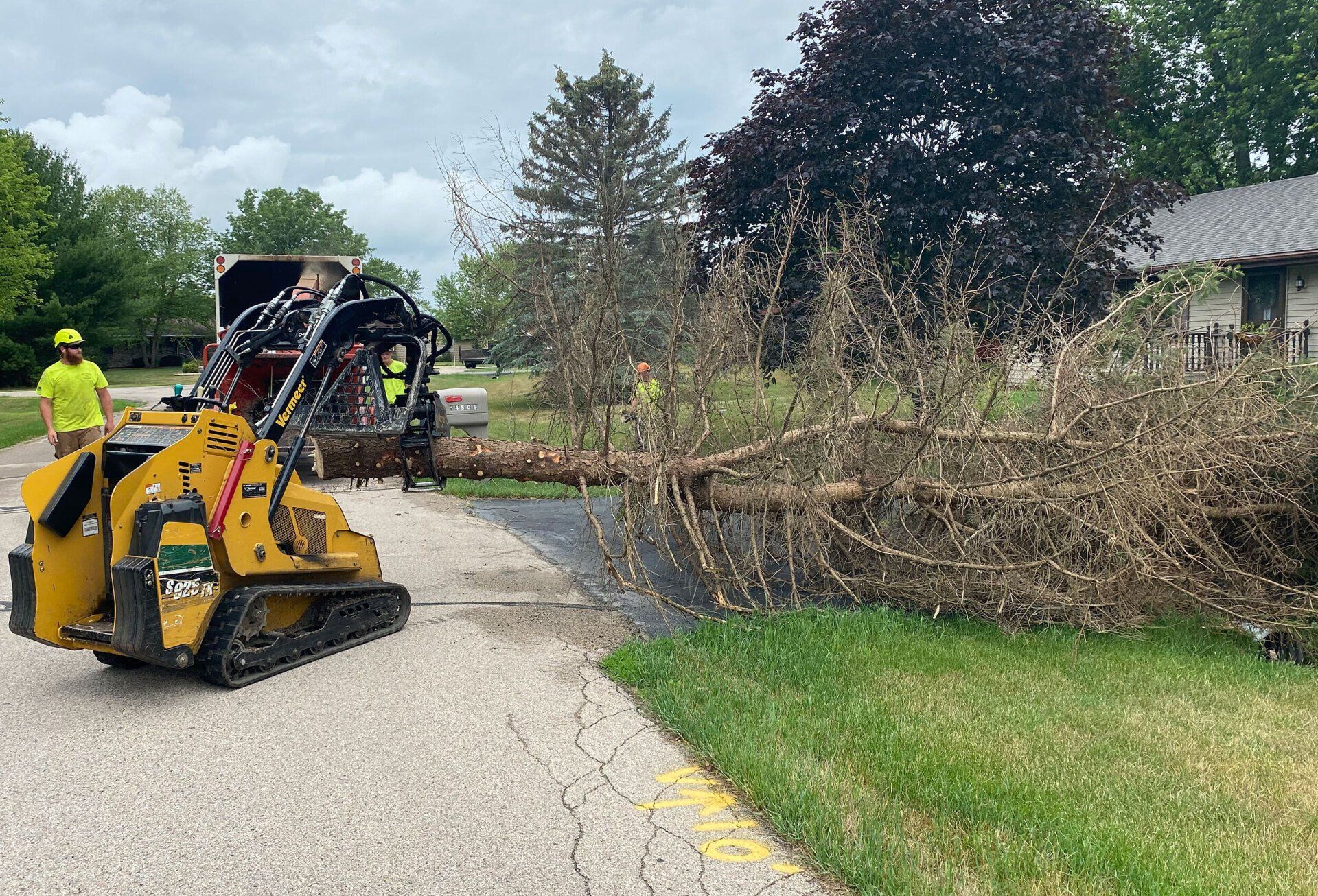Busy Beaver Tree Care | Tree and Stump Removal | Roscoe, IL