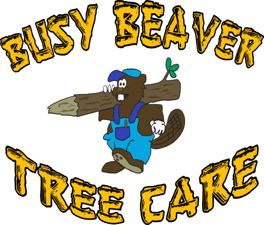 Busy Beaver Tree Care | Tree and Stump Removal | Roscoe, IL