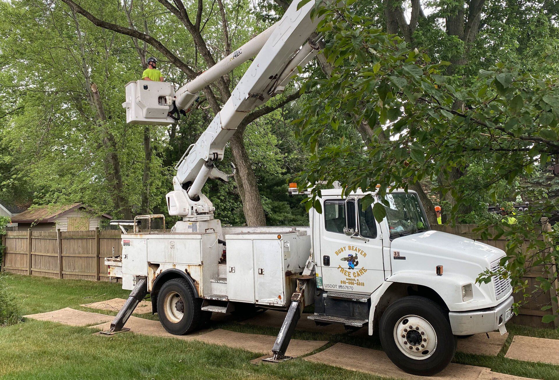 Busy Beaver Tree Care | Tree and Stump Removal | Roscoe, IL