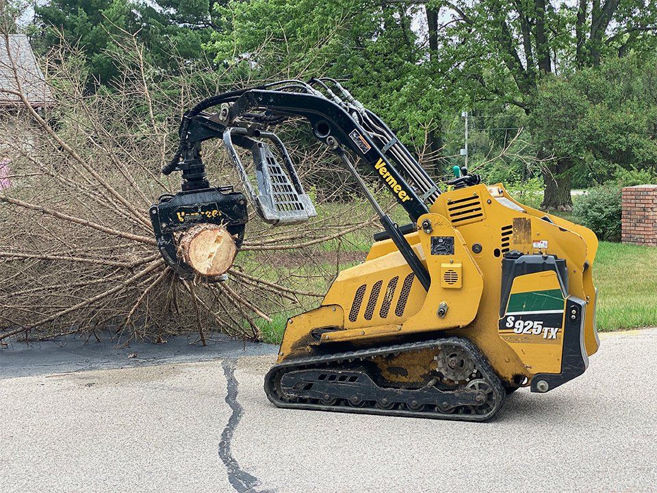 Busy Beaver Tree Care | Tree and Stump Removal | Roscoe, IL